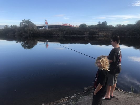 SOUTHERN OREGON RV PARK - 38 Photos & 35 Reviews - 11 Peninger Rd ...