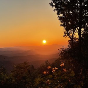 LEN FOOTE HIKE INN - 89 Photos & 31 Reviews - 280 Amicalola Falls State ...