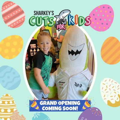 SHARKEY’S CUTS FOR KIDS - 34 Photos - 1810-I York Rd, Timonium ...