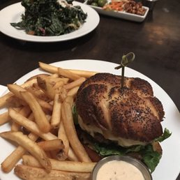 THE BLACK CAT - Updated August 2025 - 550 Photos & 607 Reviews - 3909 ...