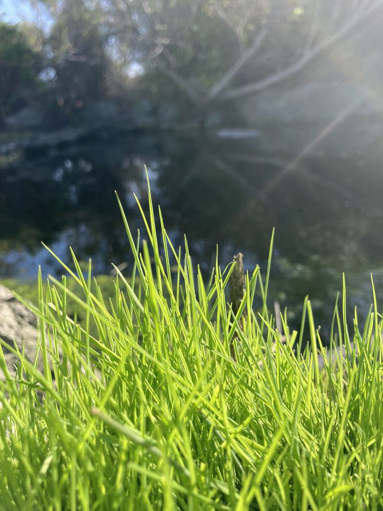 BRIGHT FUTURE RECOVERY - Updated October 2025 - 6850 Ontario Rd, San ...