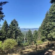 MOUNT TABOR PARK - 703 Photos & 254 Reviews - Parks - SE 60th Ave & SE ...
