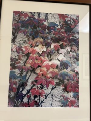 UPMC MERCY - Updated January 2026 - 18 Photos & 42 Reviews - 1400 ...