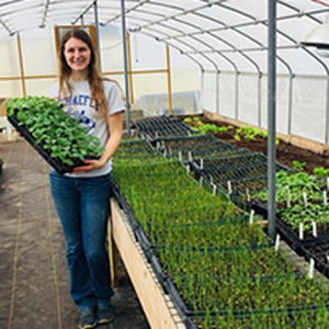 GARVER FAMILY FARM MARKET - Updated March 2025 - 101 Photos & 17 ...