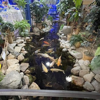 PREUSS PETS - Updated December 2025 - 97 Photos & 93 Reviews - 1127 N ...