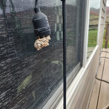 WHITE KNIGHT PEST CONTROL - Updated May 2025 - 59 Reviews - 5152 N ...