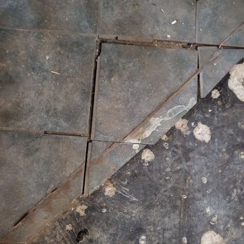 BMS CAT - Updated December 2025 - 21 Photos & 38 Reviews - 315 N Great ...