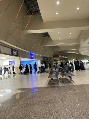 FOX RENT A CAR - Updated January 2025 - 189 Photos & 1174 Reviews ...