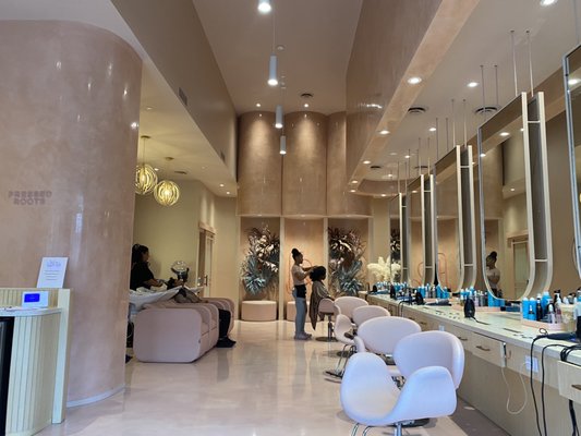 PRESSED ROOTS - Updated August 2025 - 19 Photos & 19 Reviews - 4001 ...