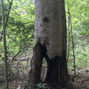 SKILES TEST NATURE PARK - Updated January 2026 - 32 Photos & 10 Reviews ...