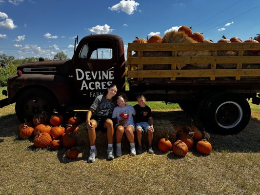 DEVINE ACRES FARM - Updated October 2025 - 183 Photos & 47 Reviews ...