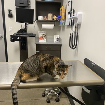 SUNSET ANIMAL HOSPITAL - Updated August 2025 - 137 Photos & 437 Reviews ...