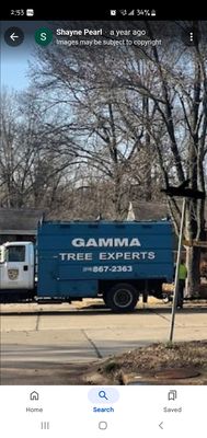 GAMMA TREE EXPERTS - Updated October 2025 - 16 Reviews - 1564 North And ...