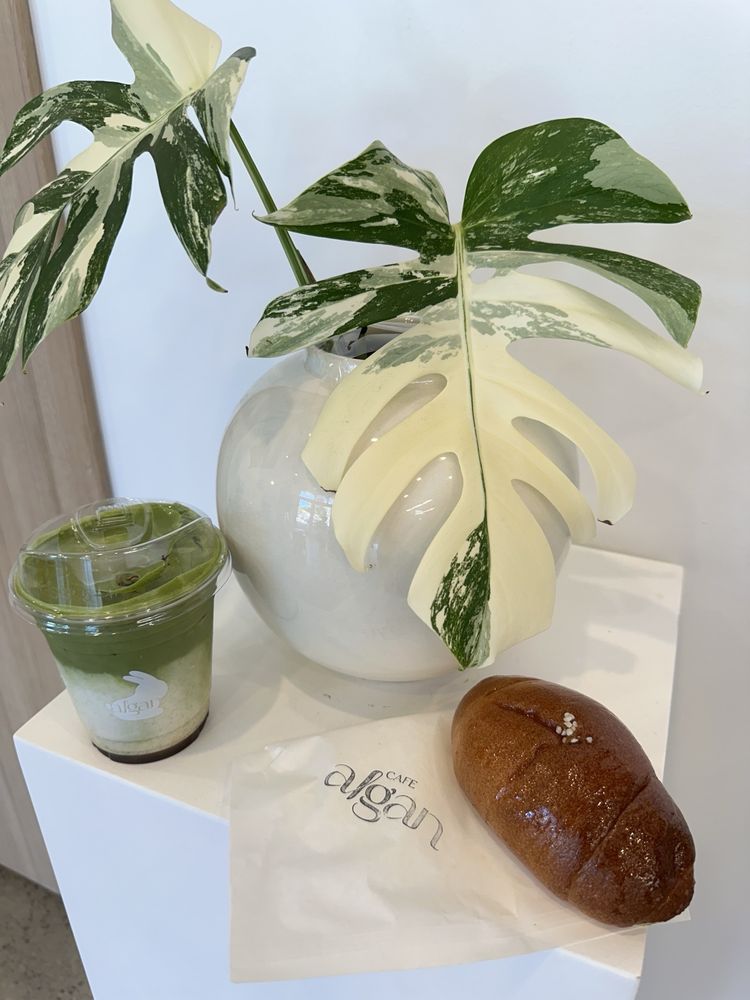 CAFE ALGAN - Updated October 2025 - 35 Photos & 10 Reviews - 688 West ...