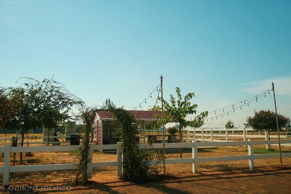 ANDALIN RANCH - 16 Photos - 6015 Wakefield Ave, Reedley, California ...