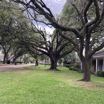 ABC PROFESSIONAL TREE SERVICES - Updated October 2025 - 20 Photos & 32 ...