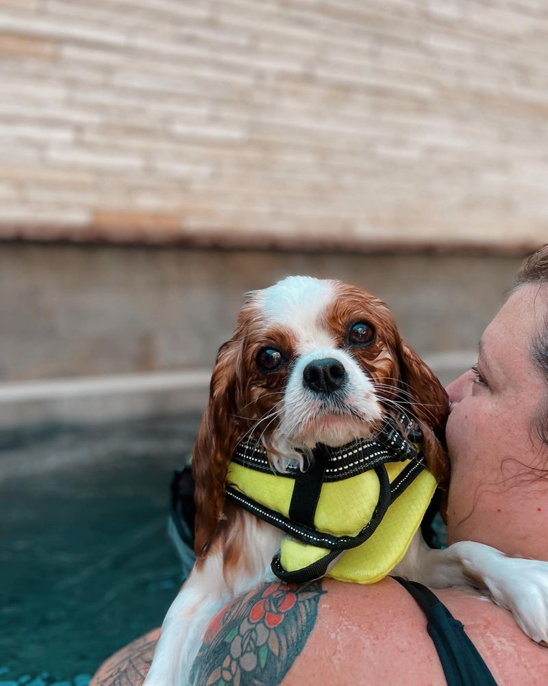 KEN WALKS DOGS - AUSTIN - Updated January 2026 - 34 Photos - Austin ...