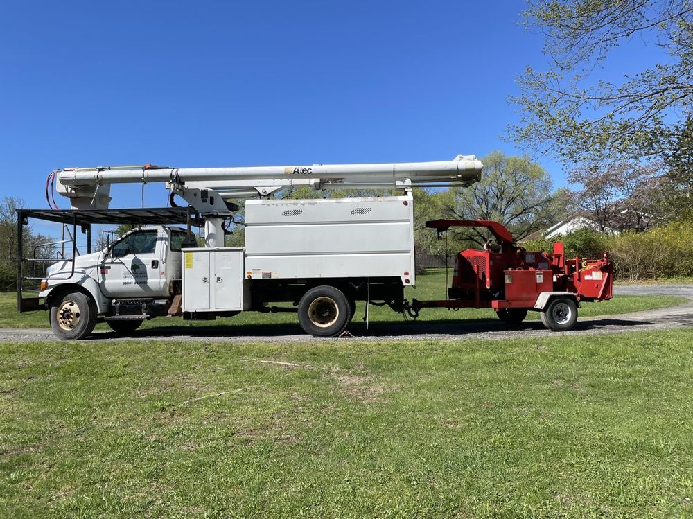 CANOPY TREE SERVICE - Updated January 2025 - 11 Photos - Rosendale, New ...