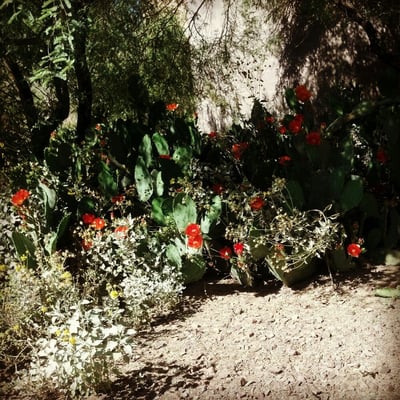 RIO SALADO HABITAT RESTORATION AREA - Updated July 2025 - 48 Photos ...