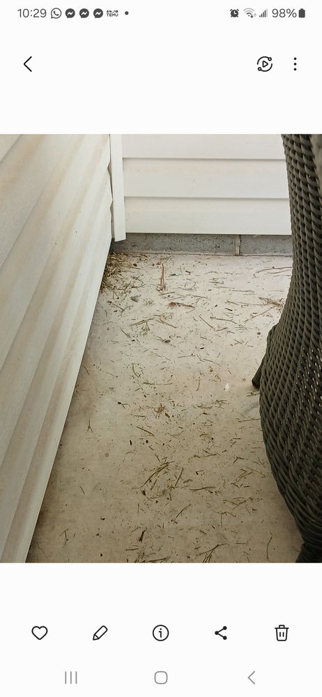 GRASS GREMLINS LAWN & LANDSCAPE - Updated December 2025 - Jacksonville ...