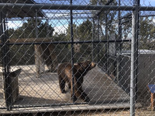 ANIMAL ARK - Updated October 2025 - 514 Photos & 162 Reviews - 1265 ...