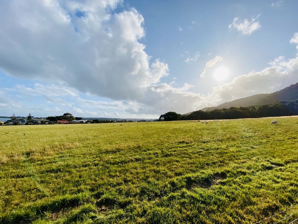 BIG4 APOLLO BAY PISCES HOLIDAY PARK - Updated April 2026 - 311 Great ...