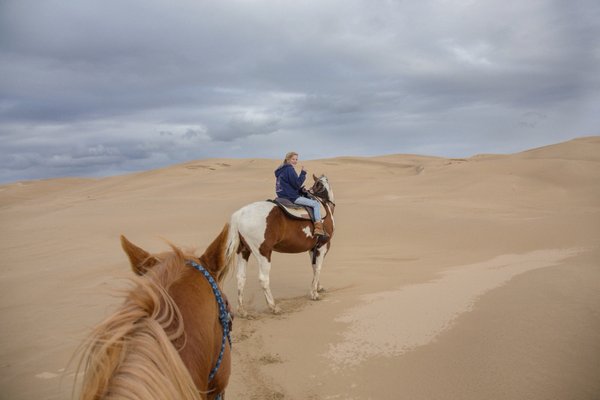 PACIFIC DUNES RIDING RANCH - 86 Photos & 112 Reviews - Horseback Riding ...