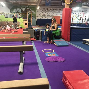 SCEGA GYMNASTICS - Updated January 2025 - 50 Photos & 43 Reviews ...