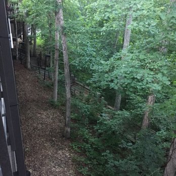 HEMLOCK LODGE - Updated June 2025 - 66 Photos & 21 Reviews - 2135 ...