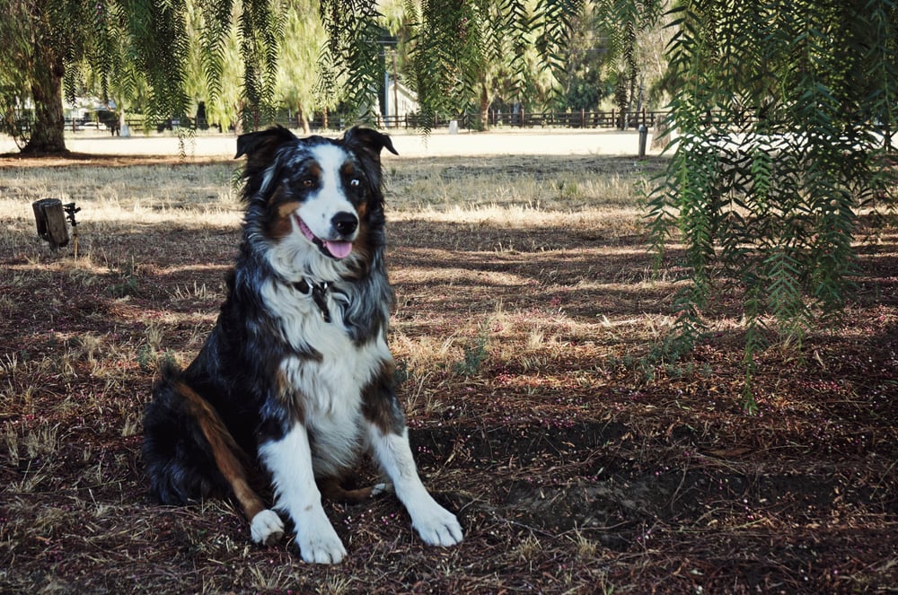 SALISBURY FARMS - Updated January 2026 - 39 Photos & 11 Verified ...