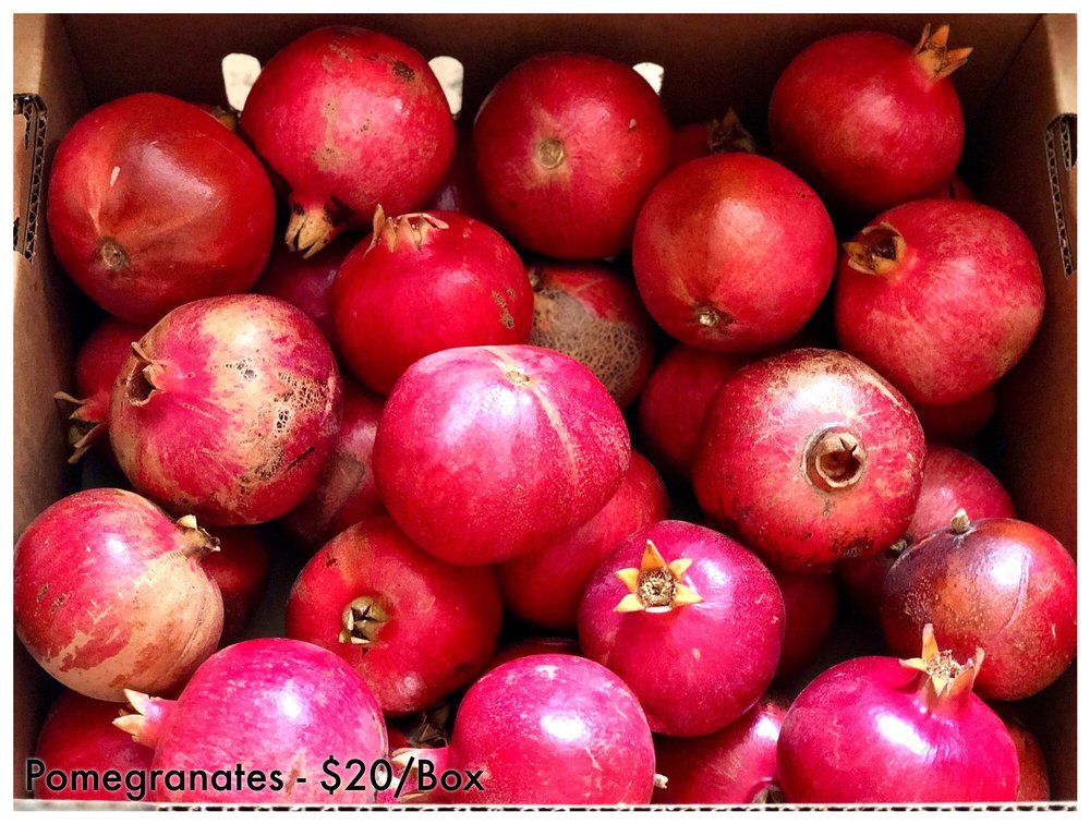 BLUE RIDGE POMEGRANATES - 8742 Tubbs Rd, Winters, California - Pick ...