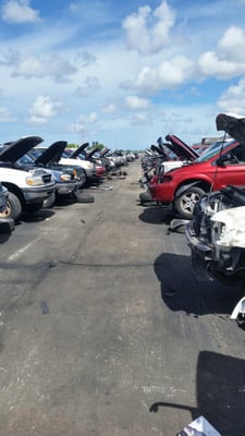 U PICK AUTO PARTS - Updated January 2026 - 13 Photos - 8100 NW 74th St ...