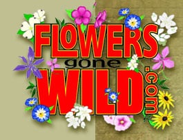 FLOWERS GONE WILD - Updated July 2025 - 2507 W Hiawatha St, Tampa ...