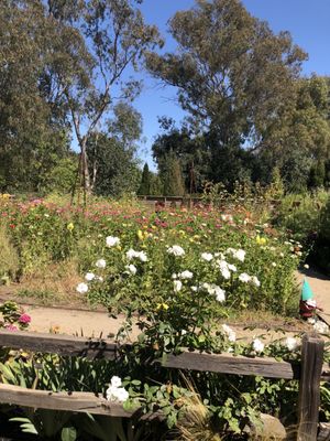 FAT PILGRIM - Updated May 2025 - 70 Photos & 15 Reviews - 20820 ...