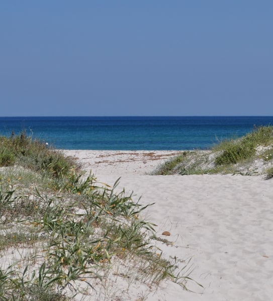 BUDONI BEACH - Via Quartu 7, Budoni, Olbia-Tempio, Italy - Beaches - Yelp