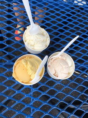 YORK CASTLE TROPICAL ICE CREAM - 177 Photos & 244 Reviews - Ice Cream ...