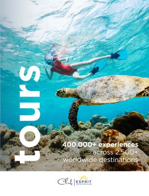 CLUB ESPRIT - Updated November 2025 - 17 Photos - 8121 Center Run Dr ...