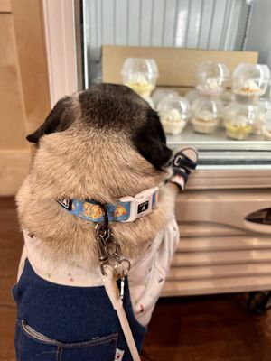 FRYDAE - Updated December 2025 - 72 Photos & 49 Reviews - 743 10th St ...