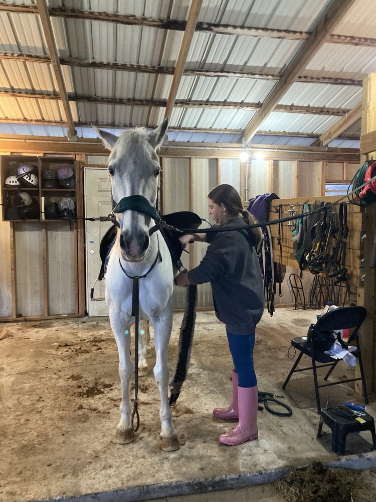 TRILOGY EQUESTRIAN CENTER - Updated January 2026 - 198 Leona Rd ...