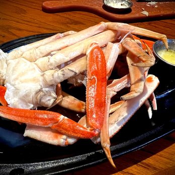 OUTBACK STEAKHOUSE - Updated October 2024 - 518 Photos & 552 Reviews ...