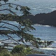 WING WA RESTAURANT - 26 Photos & 41 Reviews - 330 N Hwy 101, Depoe Bay ...