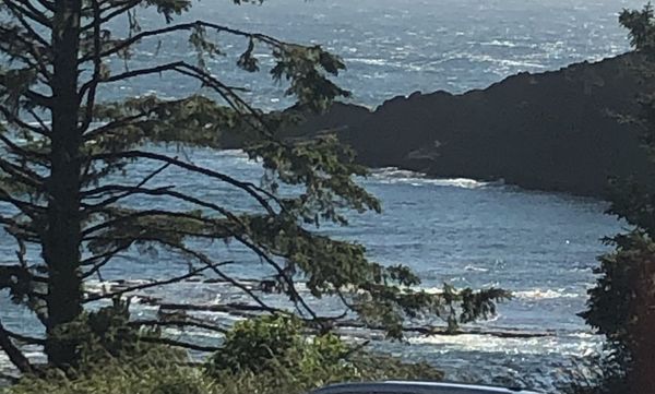 WING WA RESTAURANT - Updated December 2025 - 33 Photos & 60 Reviews ...