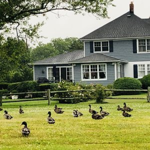 COREY BEACH - Updated July 2025 - 88 Photos & 14 Reviews - Blue Point ...