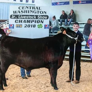 CLAAR CELLARS WINERY - 1001 Vintage Valley Pkwy, Zillah, Washington ...