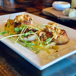 THE TAILOR AND THE COOK - 241 Photos & 283 Reviews - 94 Genesee St ...