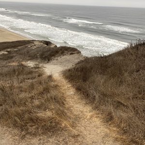 SAN GREGORIO STATE BEACH - 384 Photos & 93 Reviews - La Honda Rd ...