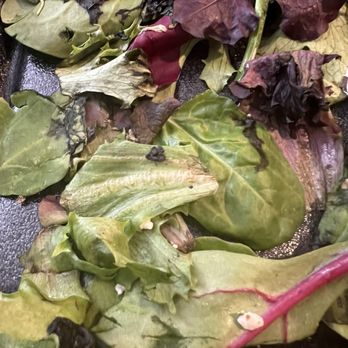 PRIMOS CAFE - Updated December 2025 - 84 Photos & 150 Reviews - 2323 ...