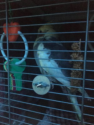 EASTERN PA VETERINARY MEDICAL CENTER - Updated January 2026 - 21 Photos ...