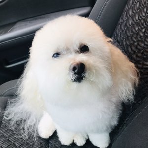 ALTA LOMA ANIMAL HOSPITAL - Updated July 2024 - 137 Photos & 338 ...