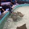 BLUE ZOO AQUARIUM SPOKANE - Updated July 2025 - 125 Photos & 78 Reviews ...